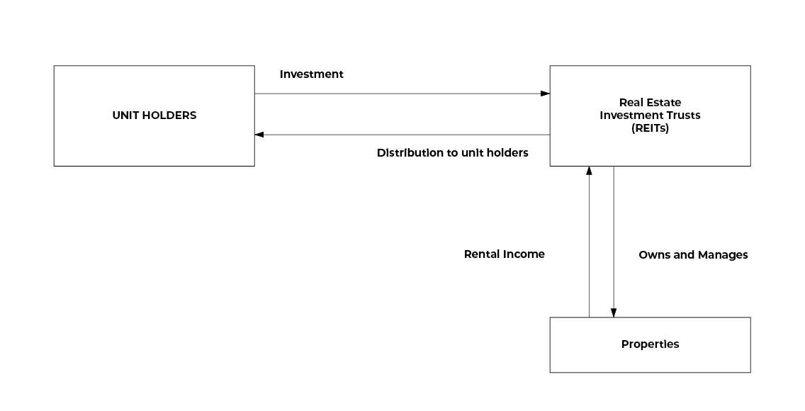 Pass through Income and All you need to know about it - PKC Management ...