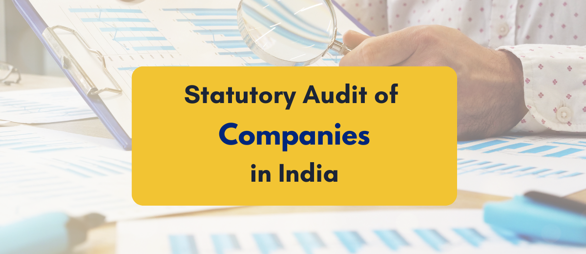 Statutory Audit of Companies | PKC Management Consulting