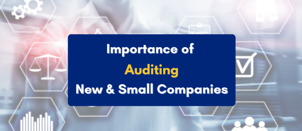 Importance of Audits for New & Small Companies