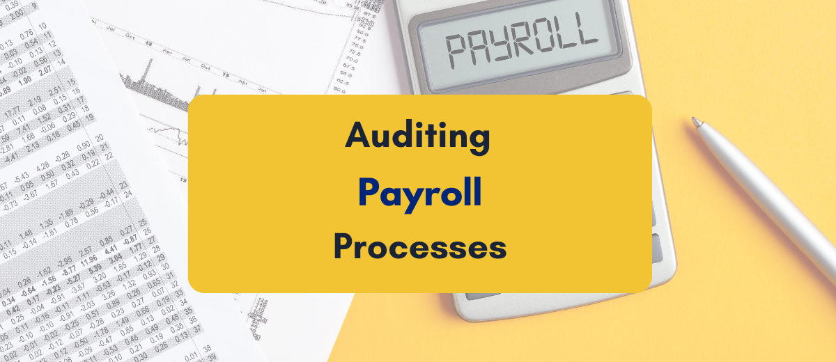 Complete Guide to Auditing Payroll Processes | PKC Guide