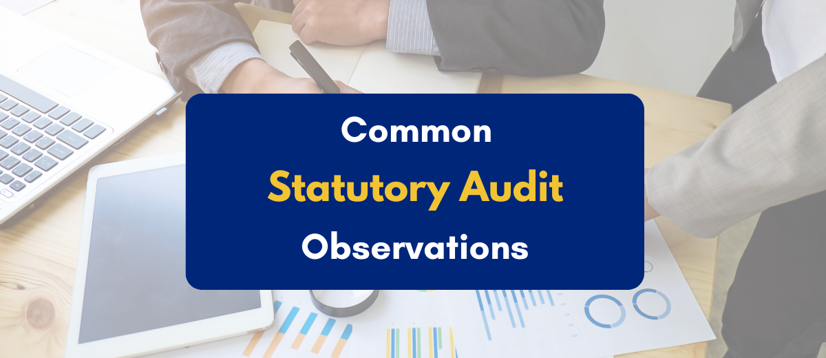 Common Statutory Audit Observations Decoded (+Solutions)